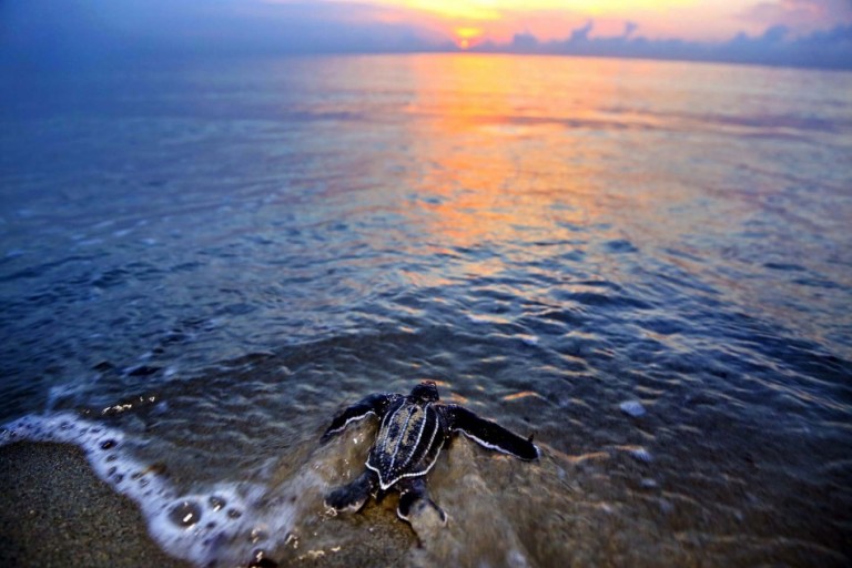 Cape Vidal - The hidden beauty of St Lucia South Africa, iSimangaliso ...