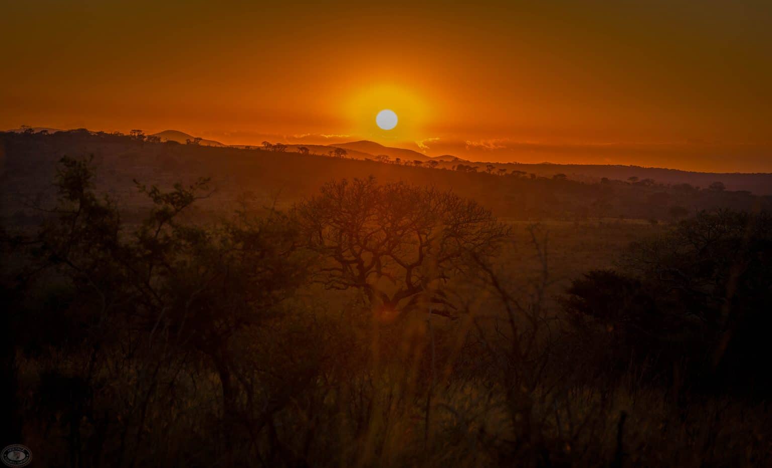 Magical Cape Vidal Sunset Safari 2022-2033
