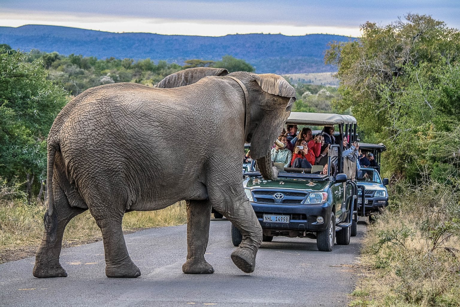 Magnificent Cape Vidal Safari 2025-26 Options