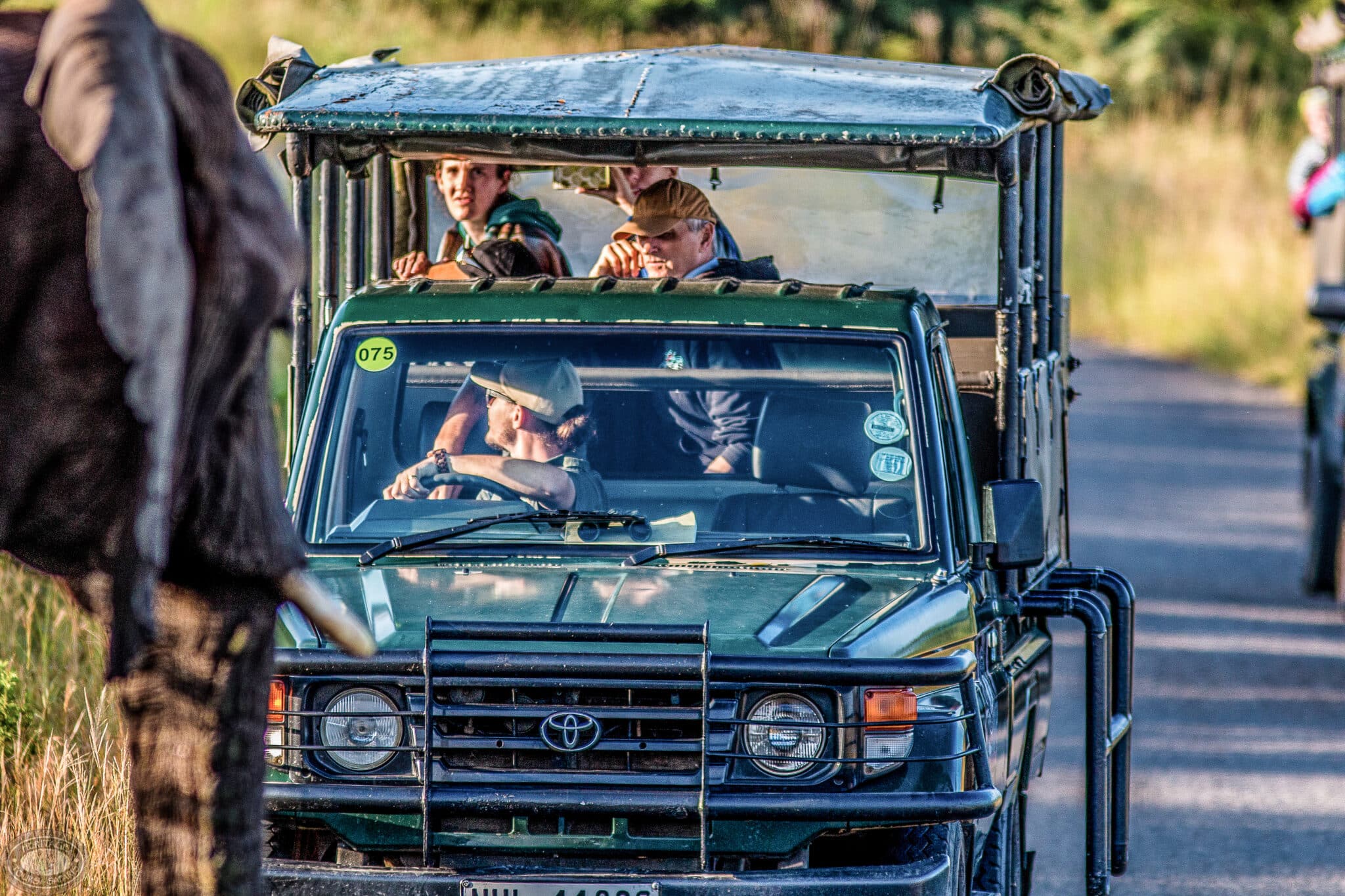 St Lucia Activities & Safaris, 2026 Best Prices Guaranteed